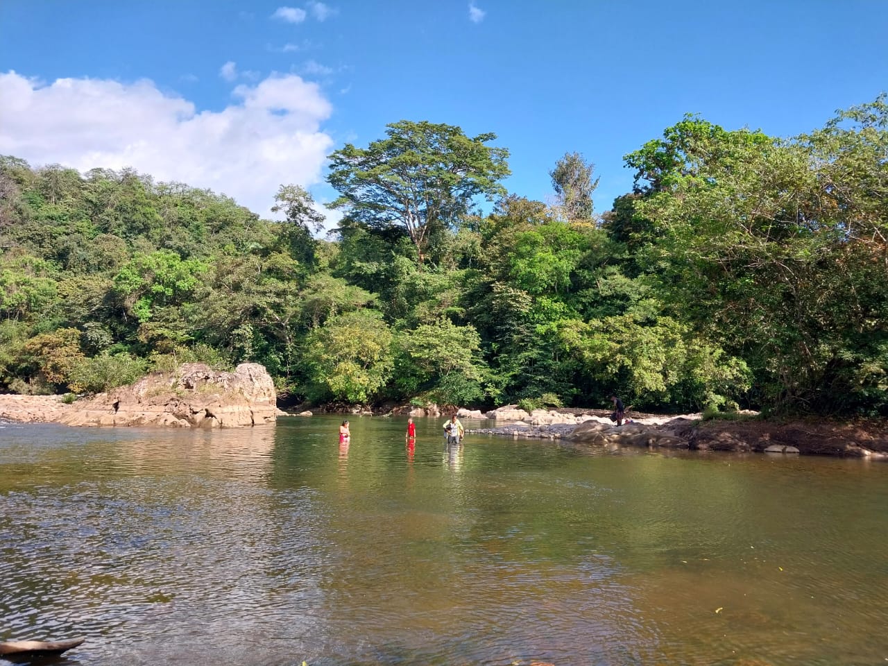 Proteger los ríos, garantiza un planeta sostenible - Panamá Green News