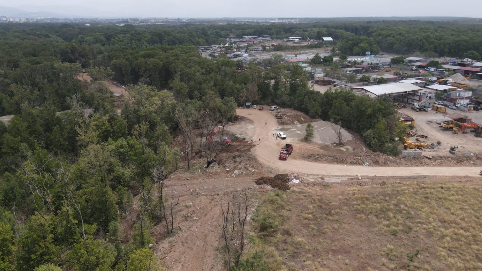 Afectaciones en manglar del Humedal Bahía de Panamá - Panamá Green News